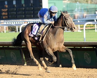 Sovereignty - Horse Profile - BloodHorse