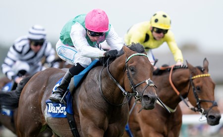 Lead Artist (GB) - Horse Profile - BloodHorse