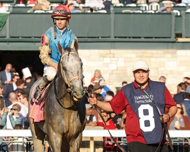 Hit Show - Horse Profile - BloodHorse