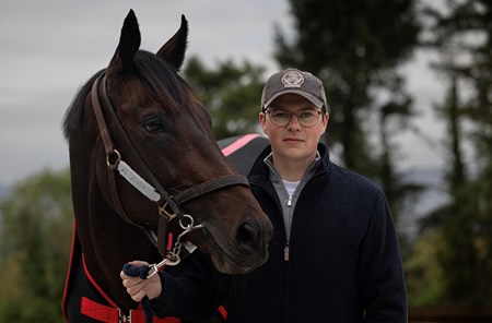 Al Riffa (FR) - Horse Profile - BloodHorse