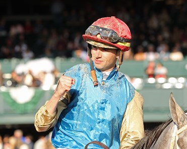 Hit Show - Horse Profile - BloodHorse