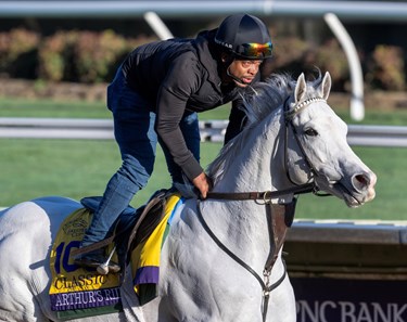 Arthur's Ride - Horse Profile - BloodHorse