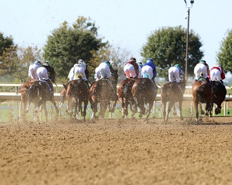 Fewer Race Days, Number of Races Depress 2025 Handle - BloodHorse