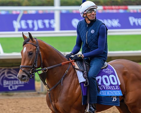 Chancer McPatrick Takes Aim at Breeders' Cup Juvenile - BloodHorse