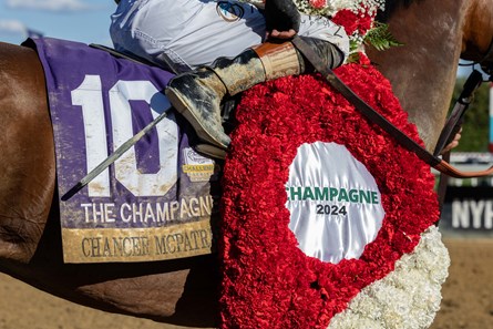 Chancer McPatrick - Horse Profile - BloodHorse