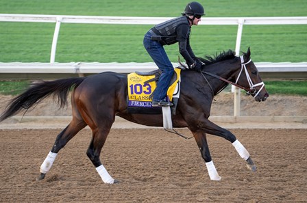 Fierceness - Horse Profile - BloodHorse