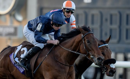 Henri Matisse (IRE) - Horse Profile - BloodHorse