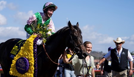 Starlust (GB) - Horse Profile - BloodHorse