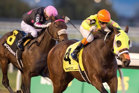 Mansetti - Horse Profile - BloodHorse