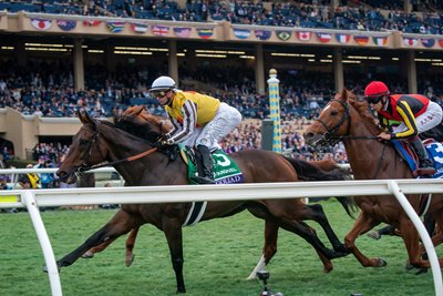 Equibase | Horse Racing | Horse Racing Entries | Horse Racing Results ...