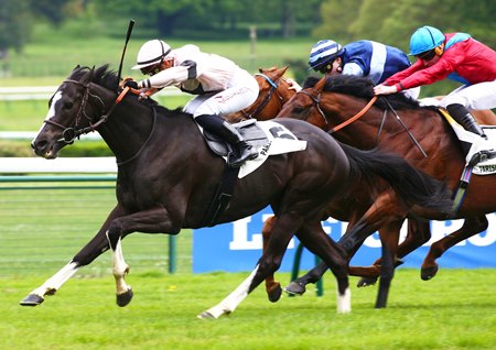 French Racing to Cut Prize Money Beginning July 1 - BloodHorse