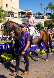 Sierra Leone - Horse Profile - BloodHorse