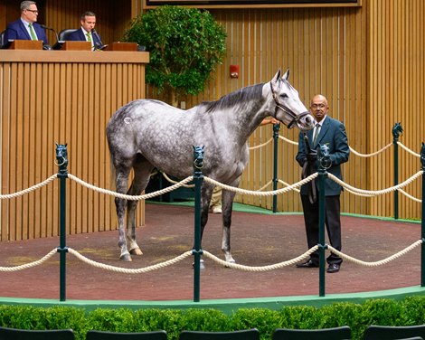 Pope Prevails to Get Roses for Debra for $2.4M - BloodHorse