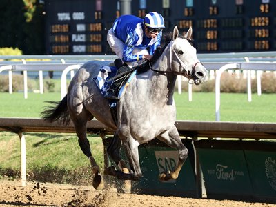 Equibase | Horse Racing | Horse Racing Entries | Horse Racing Results ...