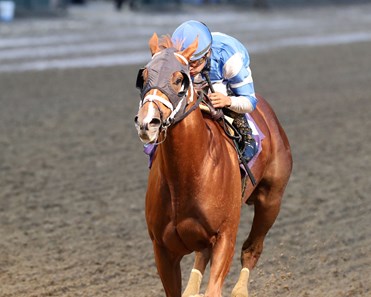 Admiral Dennis - Horse Profile - BloodHorse