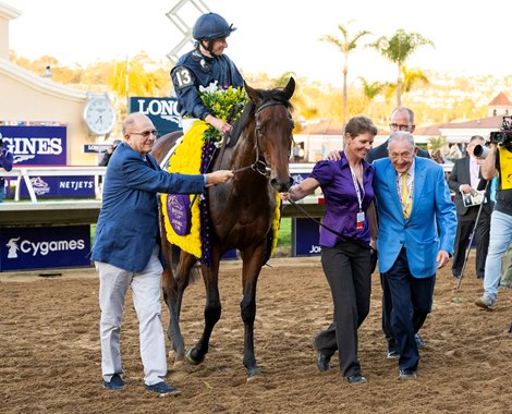 Meet Ireland's New Stallions for the 2026 Season - BloodHorse