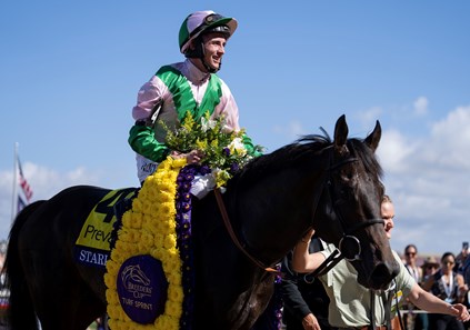 Starlust (GB) - Horse Profile - BloodHorse