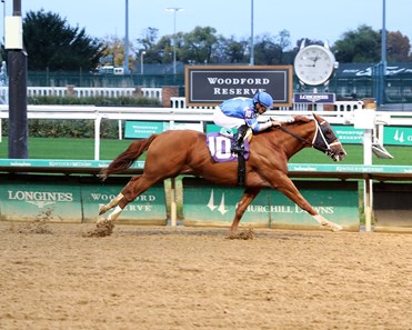 Admiral Dennis - Horse Profile - BloodHorse