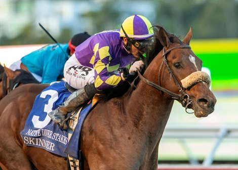 Skinner Prevails in Native Diver for First Stakes Win - BloodHorse