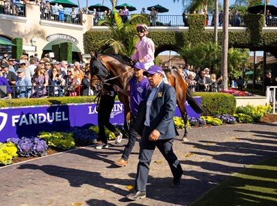 Sierra Leone - Horse Profile - BloodHorse