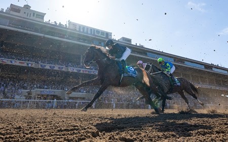 City of Troy - Horse Profile - BloodHorse