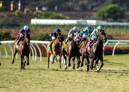 Clock Tower - Horse Profile - BloodHorse