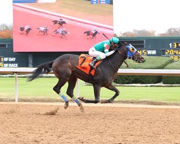 Authentic Gallop - Horse Profile - BloodHorse