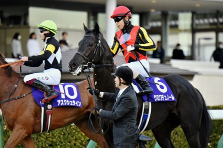 Croix du Nord (JPN) - Horse Profile - BloodHorse