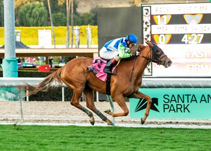 She Feels Pretty - Horse Profile - BloodHorse