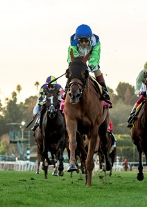 She Feels Pretty - Horse Profile - BloodHorse