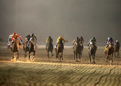 Coal Battle - Horse Profile - BloodHorse