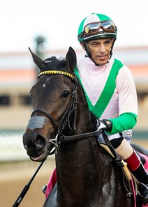 Clock Tower - Horse Profile - BloodHorse