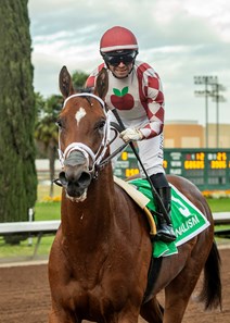 Journalism - Horse Profile - BloodHorse