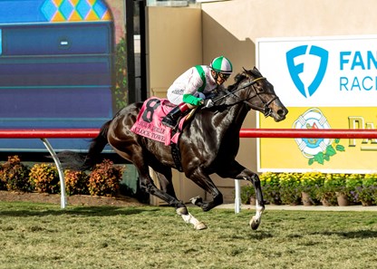 Clock Tower - Horse Profile - BloodHorse