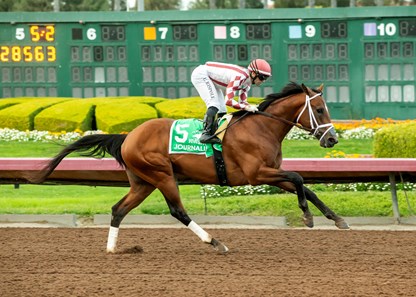 Journalism - Horse Profile - BloodHorse