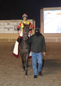 Coal Battle - Horse Profile - BloodHorse