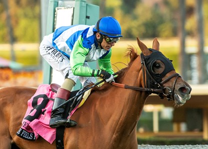 She Feels Pretty - Horse Profile - BloodHorse