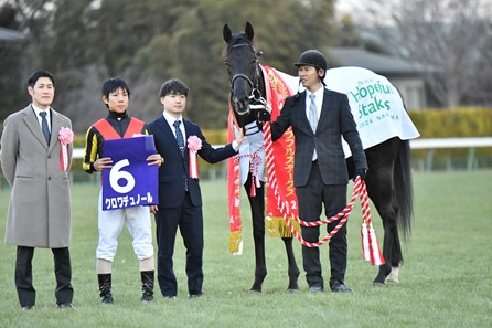 Croix du Nord (JPN) - Horse Profile - BloodHorse