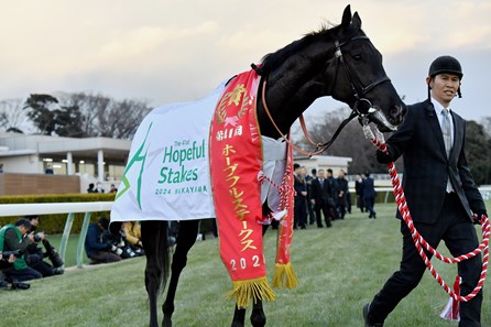 Croix du Nord (JPN) - Horse Profile - BloodHorse