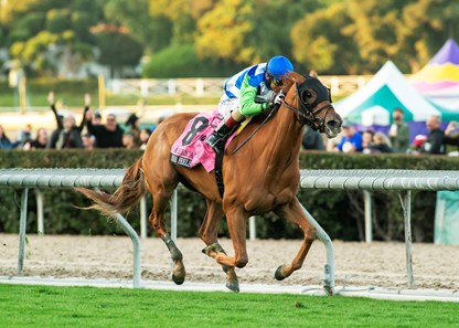 She Feels Pretty - Horse Profile - BloodHorse