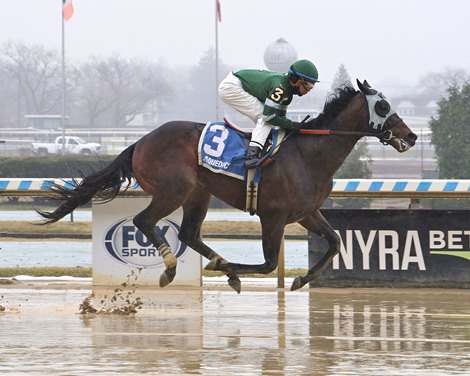 Captain Cook to Get First Stakes Test in Withers - BloodHorse