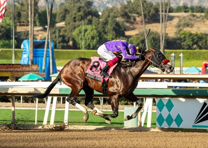 Raging Torrent - Horse Profile - BloodHorse