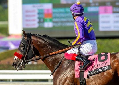 Raging Torrent - Horse Profile - BloodHorse