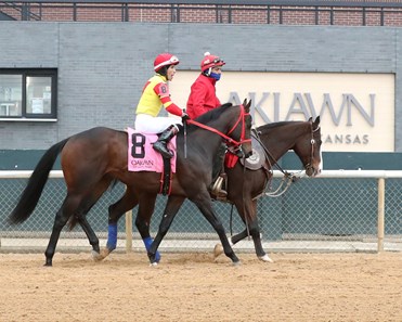 Coal Battle - Horse Profile - BloodHorse