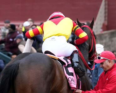 Coal Battle - Horse Profile - BloodHorse