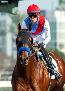 Barnes - Horse Profile - BloodHorse