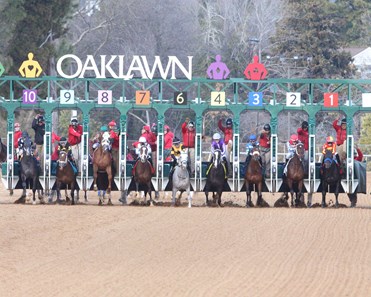Speed King - Horse Profile - BloodHorse