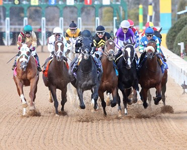 Speed King - Horse Profile - BloodHorse