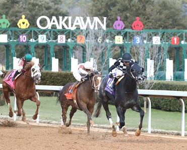 Speed King - Horse Profile - BloodHorse
