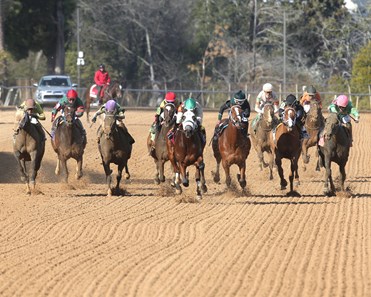 Lady Moscato - Horse Profile - BloodHorse